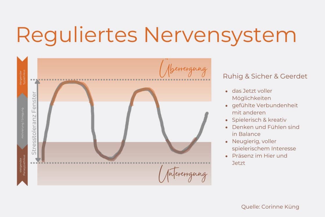 Glossar zur Polyvagaltheorie - Gertrud Angerer